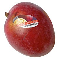 Lederer Premium Pils mit FrankenFresh liefern lassen!